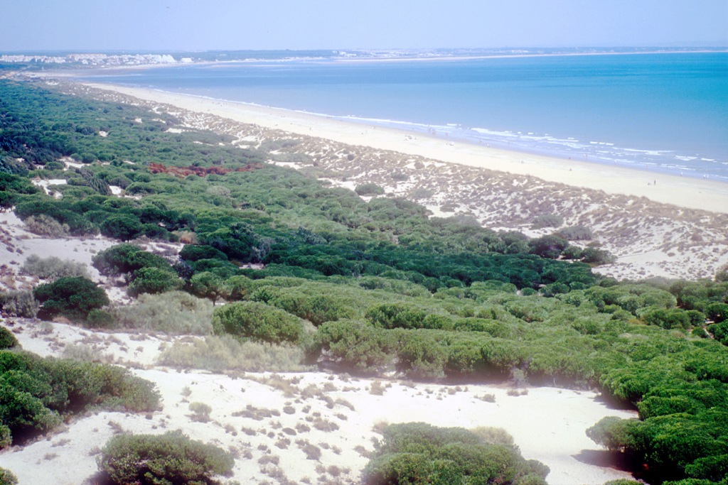 Qu Ver En Punta Umbr a Huelva Descubre Los Secretos Mejor Guardados Qu Ver En Punta Umbr a Huelva Descubre Los Secretos Mejor Guardados