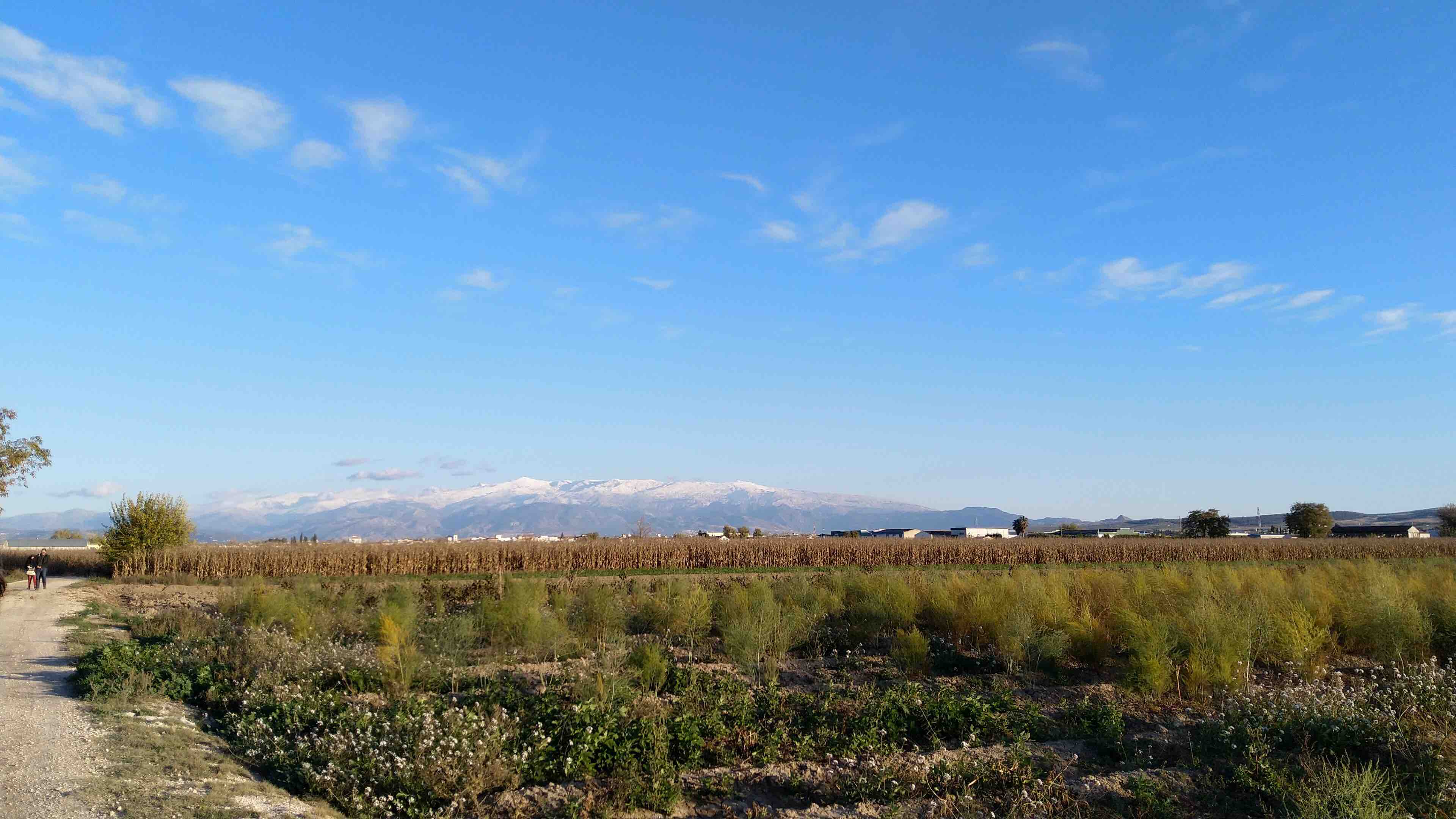 Excursión Fuente Vaqueros, Federico García Lorca, el inicio de un genio ...