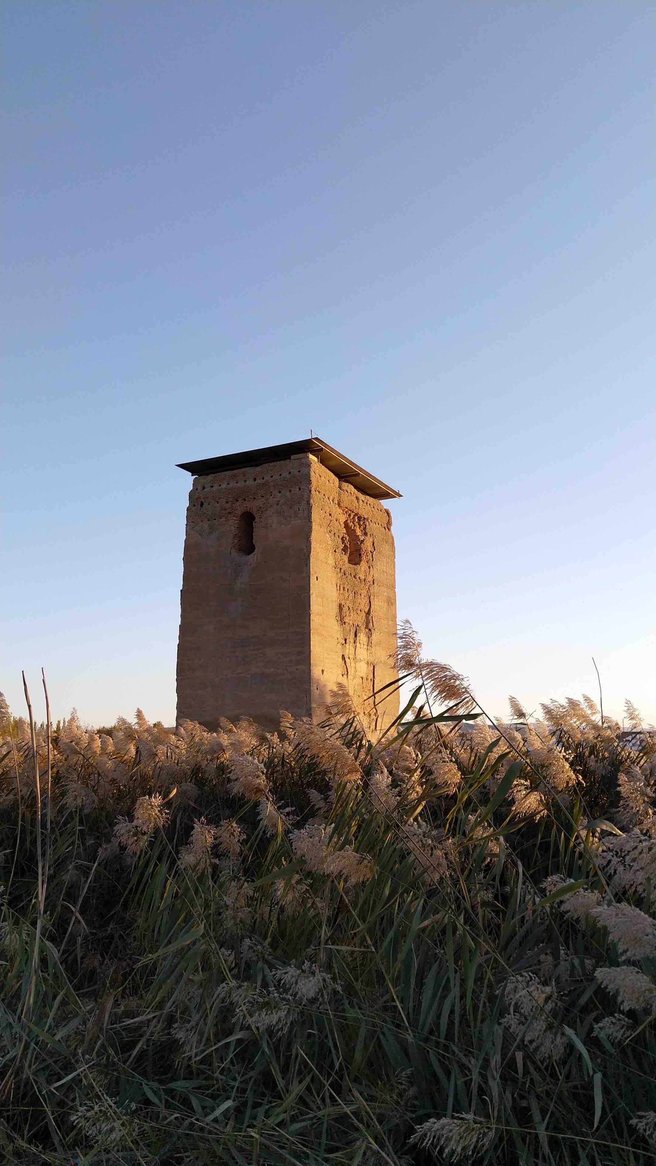 Excursión Fuente Vaqueros, Federico García Lorca, el inicio de un genio ...